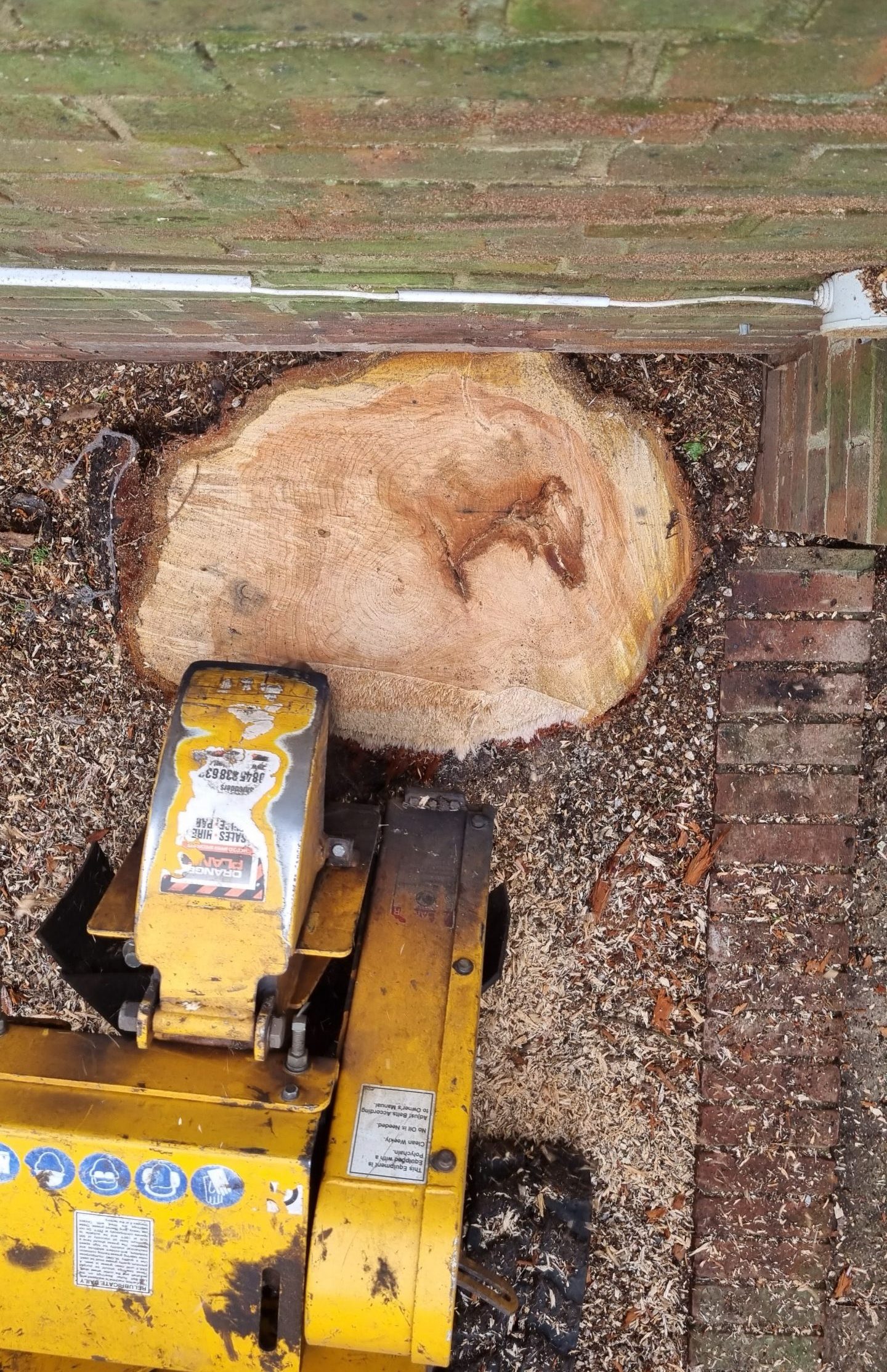 Out There Trees | Stump Grinding Process